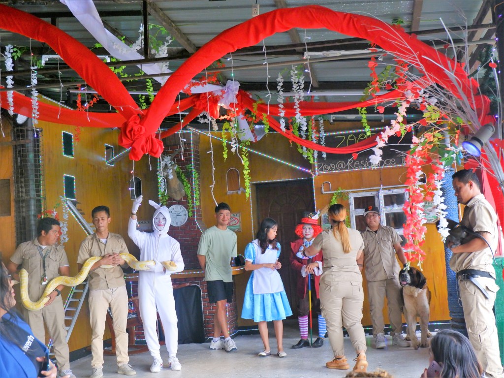 Treat the fam to a magical experience at ZOORI – Jellybeans in the City